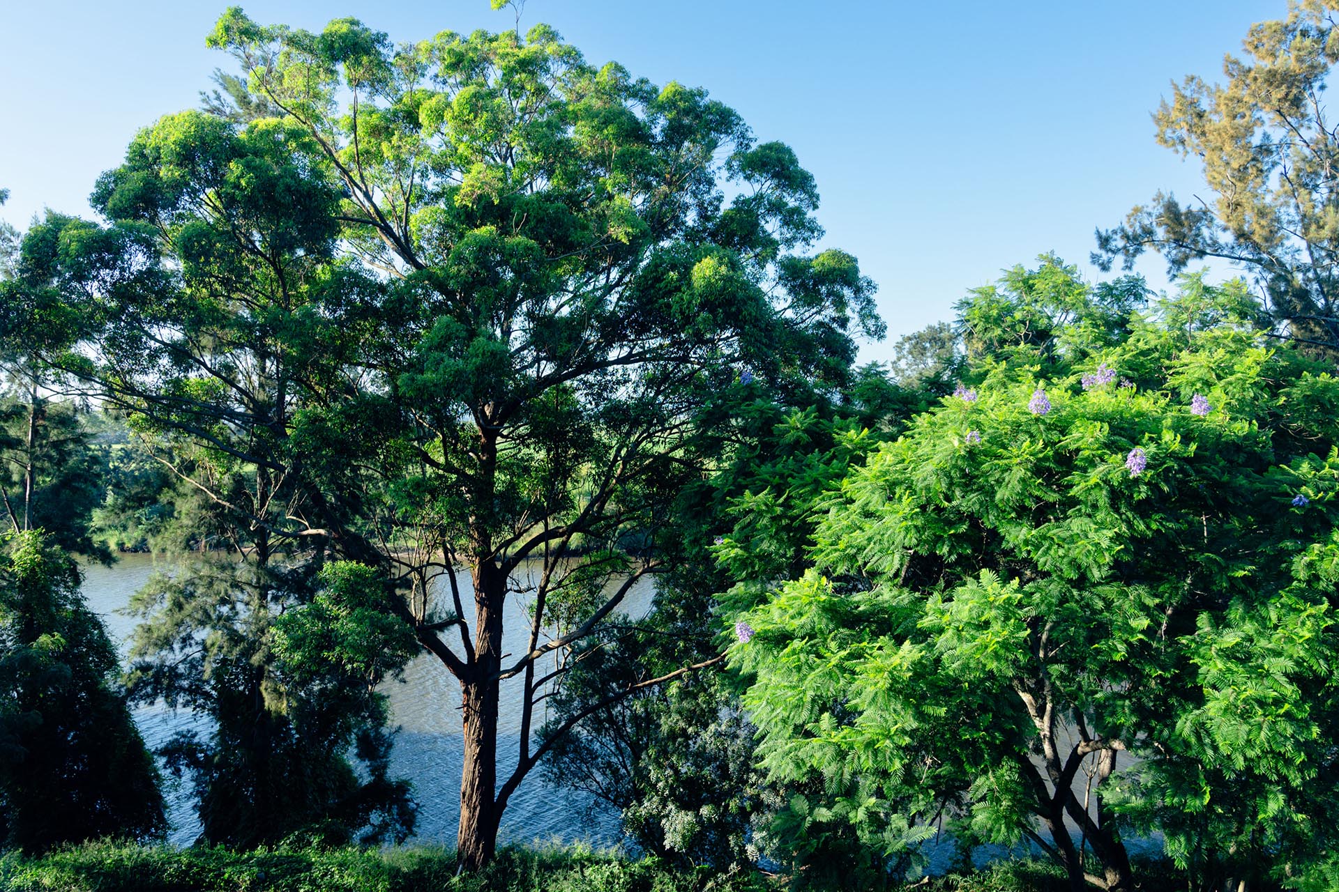 About Elements Morpeth | Wellbeing Spa Hunter Valley